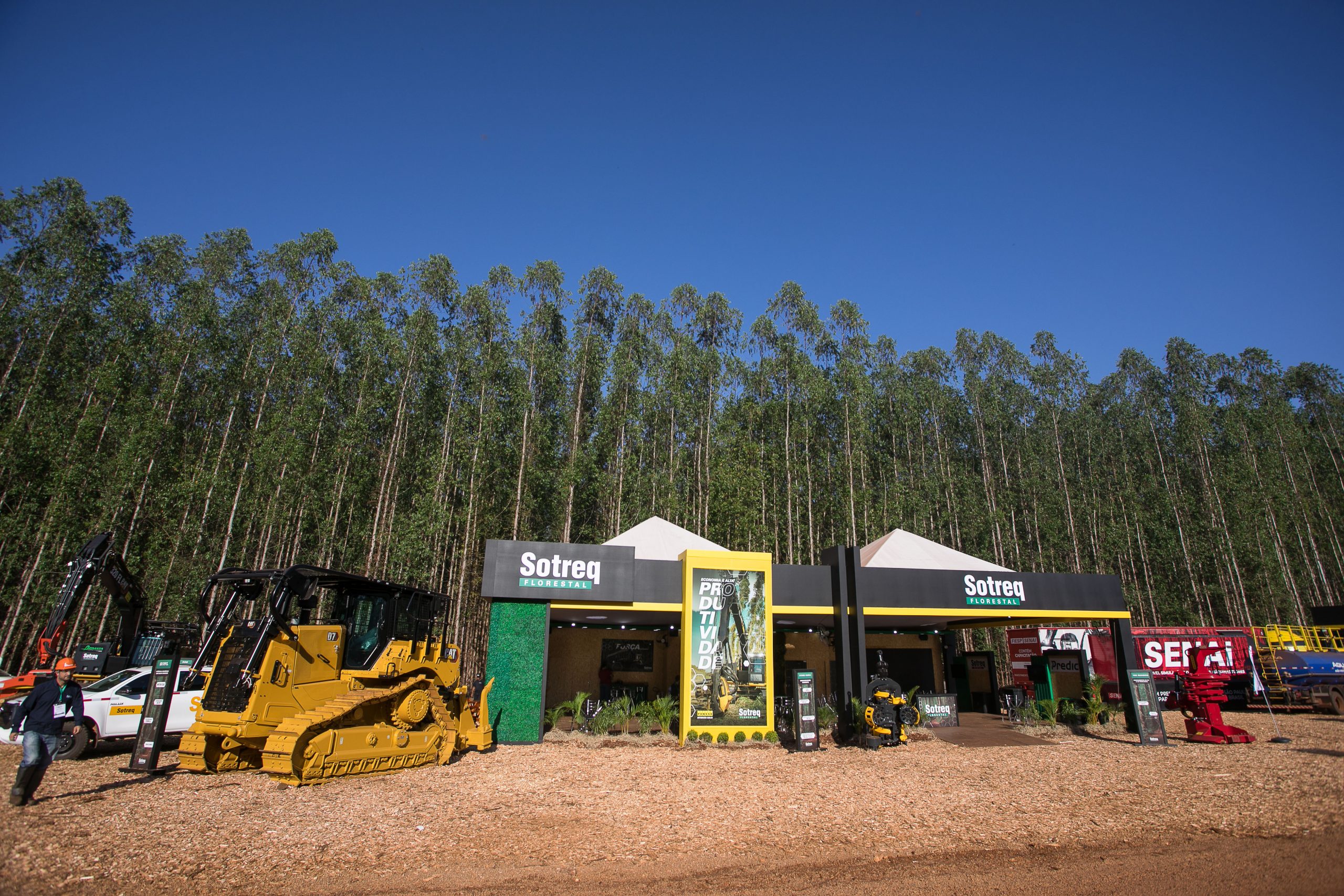 Sotreq Florestal: soluções para a indústria de árvores cultivadas ...
